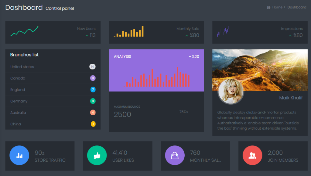 Professional looking Admin Templates For Your Web App